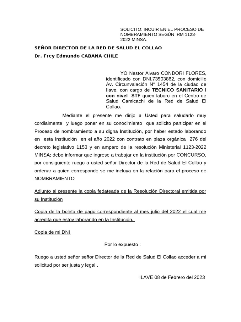 Solicitud Nombramiento MINSA 2022 | PDF