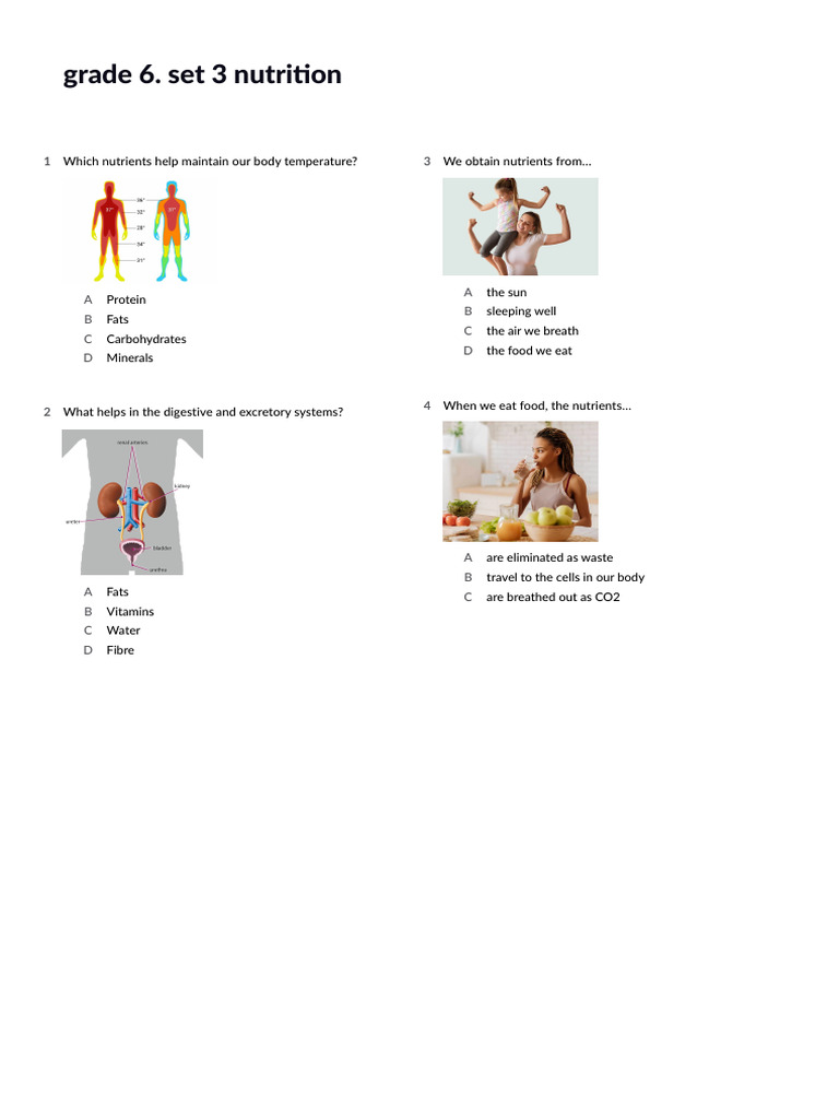 Grade 6. Set 3 Nutrition - Plickers | PDF