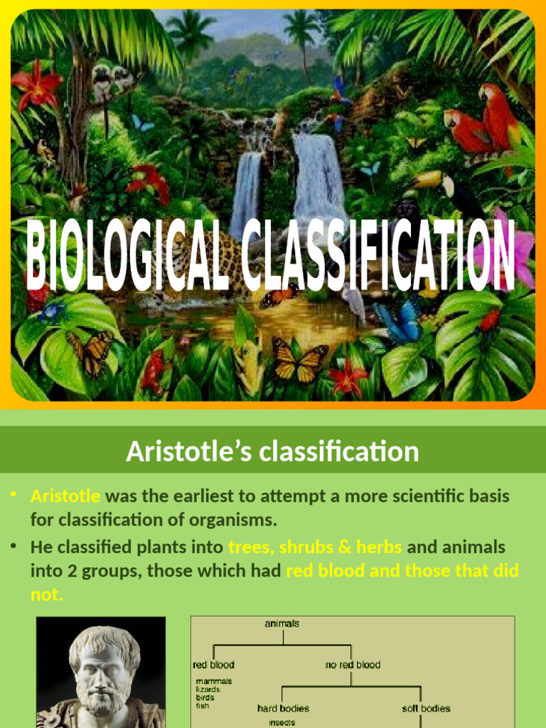 Biological Classification | PDF | Fungus | Protozoa