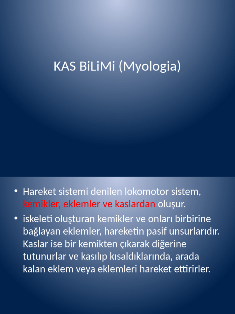 Kas Bilimi | PDF