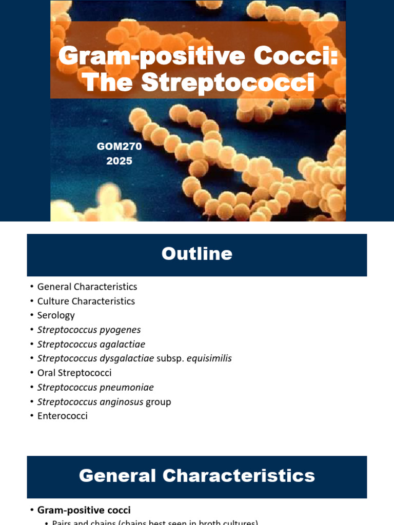 Streptococci%202025 | PDF | Streptococcus | Infection