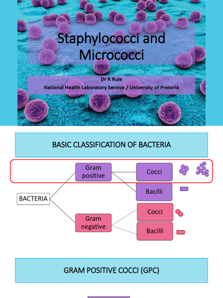 Staphylococci and Micrococci Overview | PDF | Staphylococcus Aureus ...