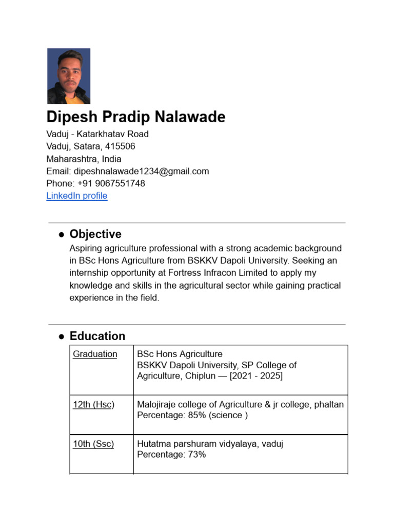 Dipesh Nalawade (CV) | PDF