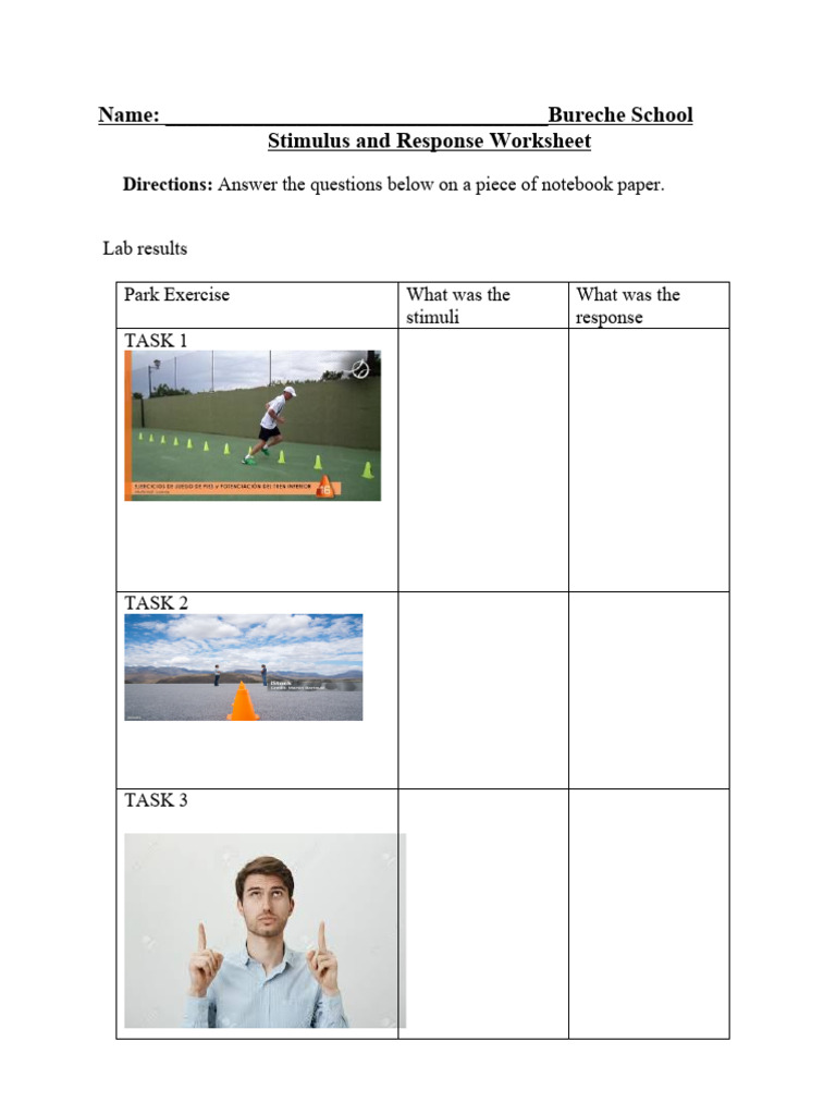 Stimulus and Response Worksheet Guide | PDF | Stimulus (Physiology ...