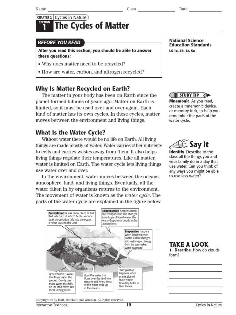 Activity 3 - Cycles of Matter 2 | PDF