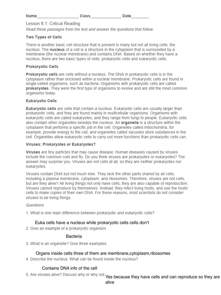 Prokaryote and Eukaryote Reading | PDF | Cell (Biology) | Prokaryote