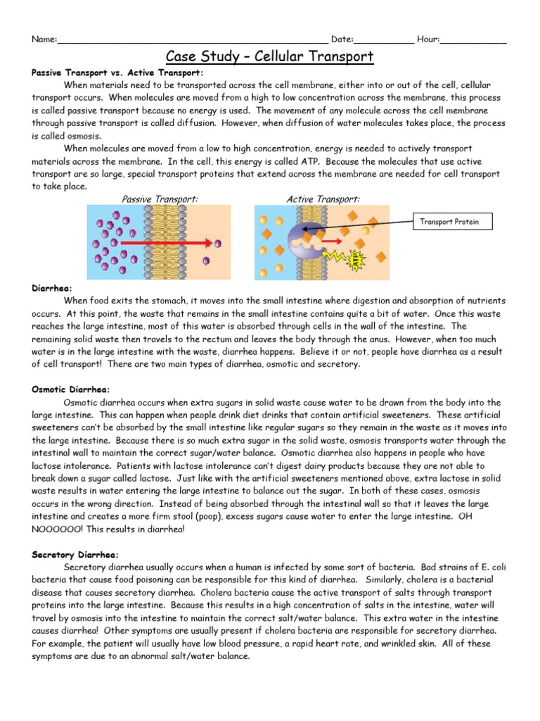 Case Study - Cell Transport and Diarrhea | PDF | Diarrhea | Cell Membrane