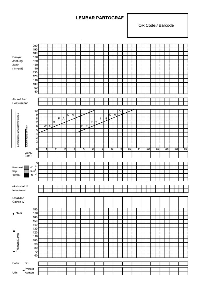 Patograf Template | PDF