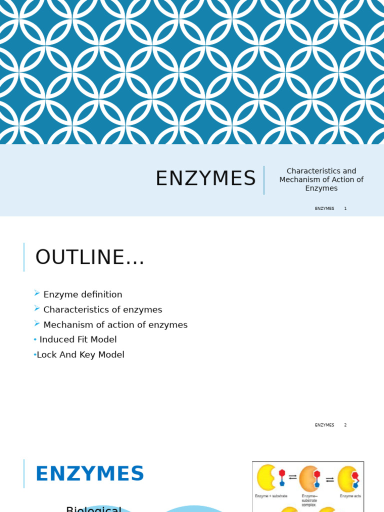 Enzyme | PDF