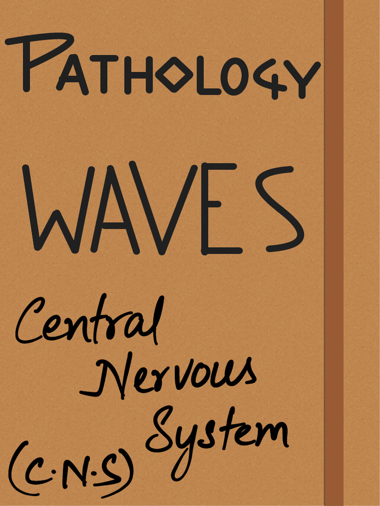 CNS | PDF
