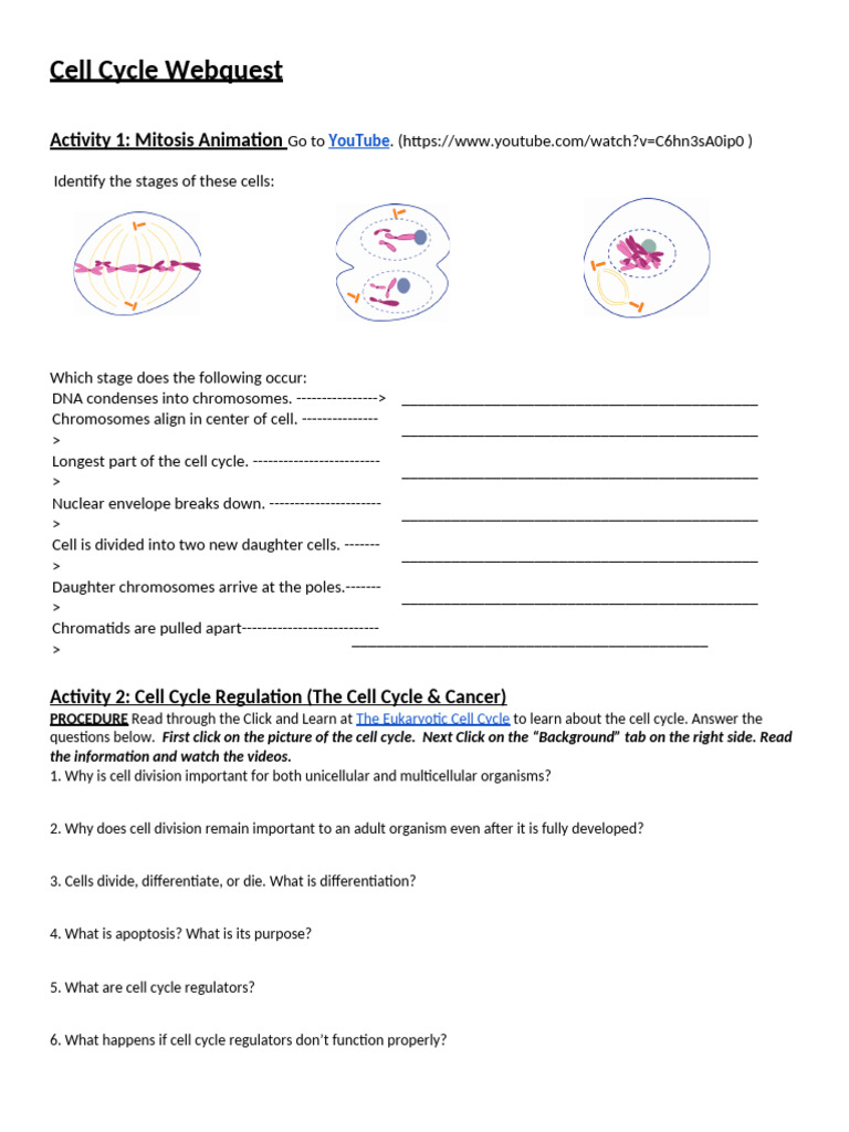 Understanding the Cell Cycle and Mitosis | PDF | Cell Cycle | Cell ...