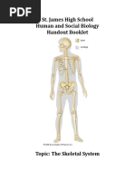 BTEC Sport Level 3 Revision Guide Skeletal System | PDF | Anatomical ...