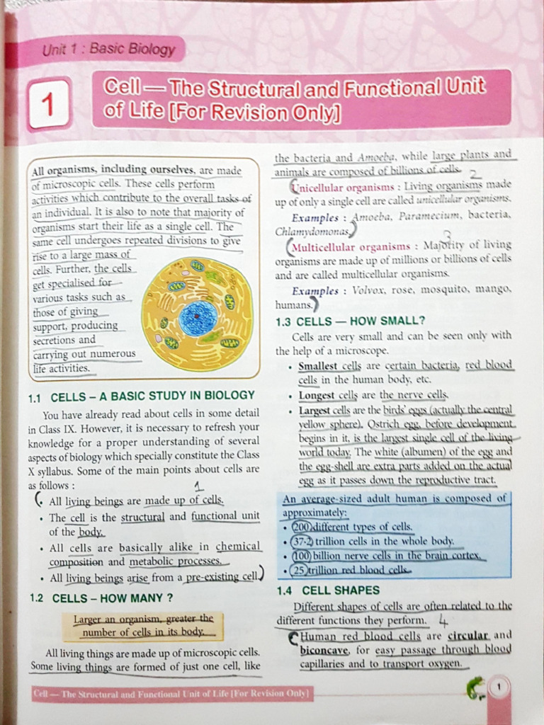 Ch.1 Cell - The Structural and Functional Unit of Life | PDF | Endoplasmic Reticulum | Cytoplasm