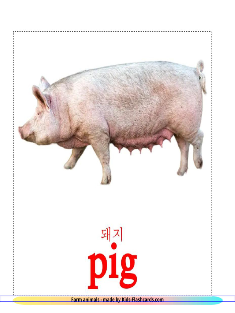 farm-animals-1-square (1) | PDF