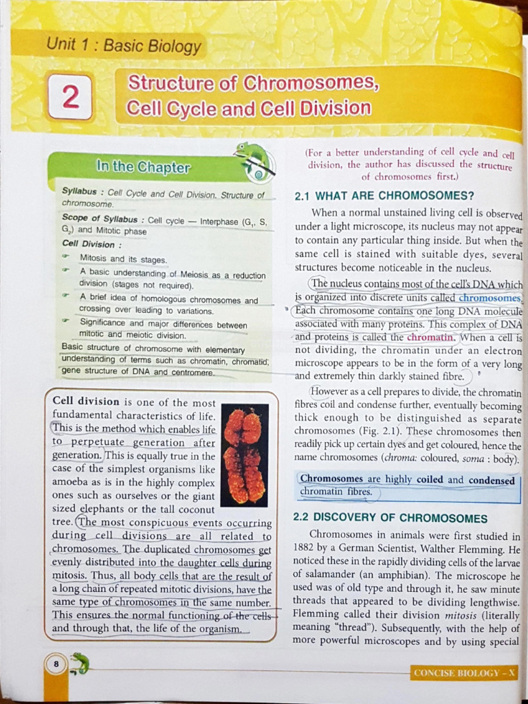 Ch.2 Structure of Chromosomes, Cell Cycle and Cell Division | PDF | Mitosis | Meiosis