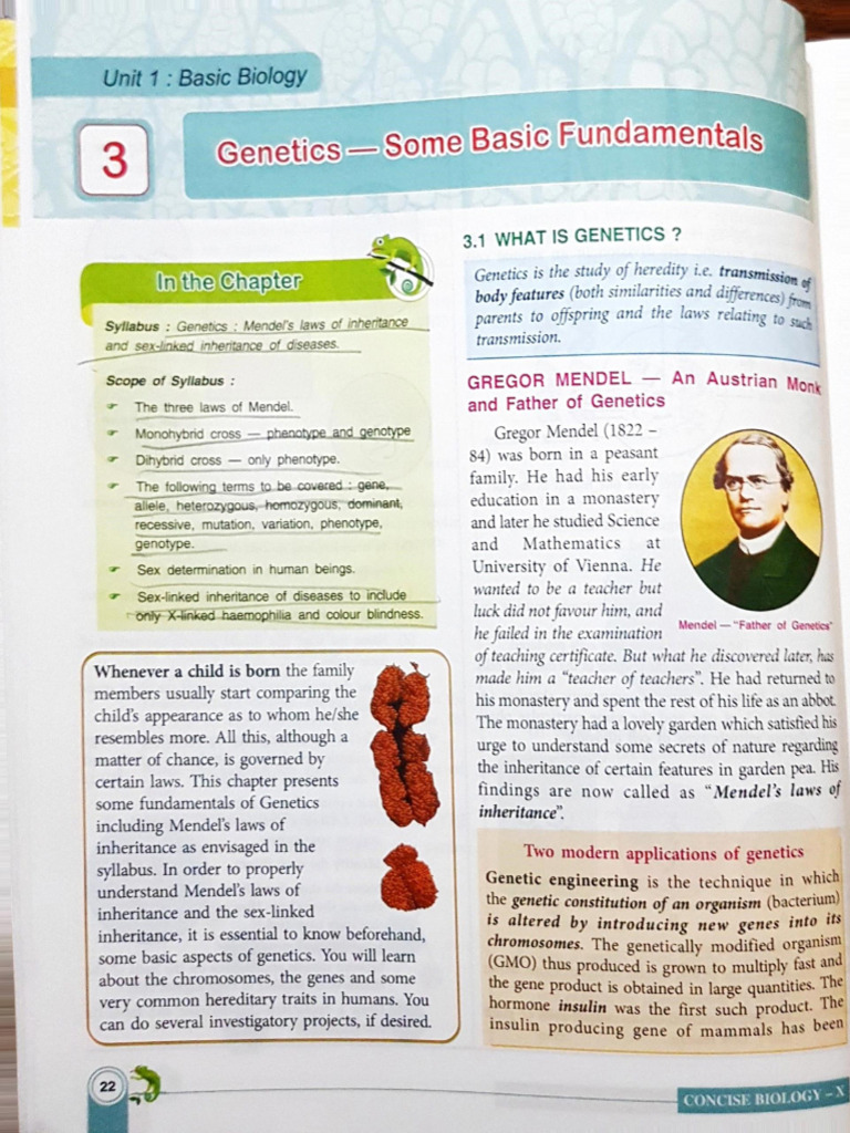 Ch.3 Genetics - Some Basic Fundamentals | PDF | Dominance (Genetics) | Zygosity