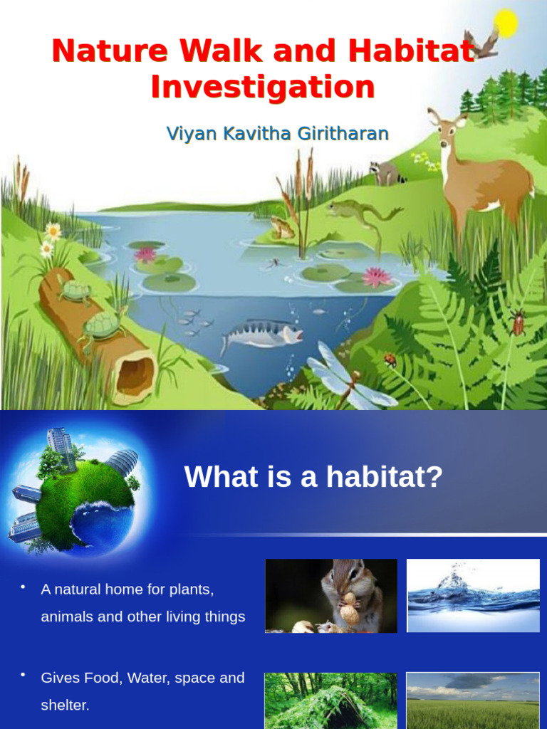 Nature Walk: Exploring Habitats | PDF