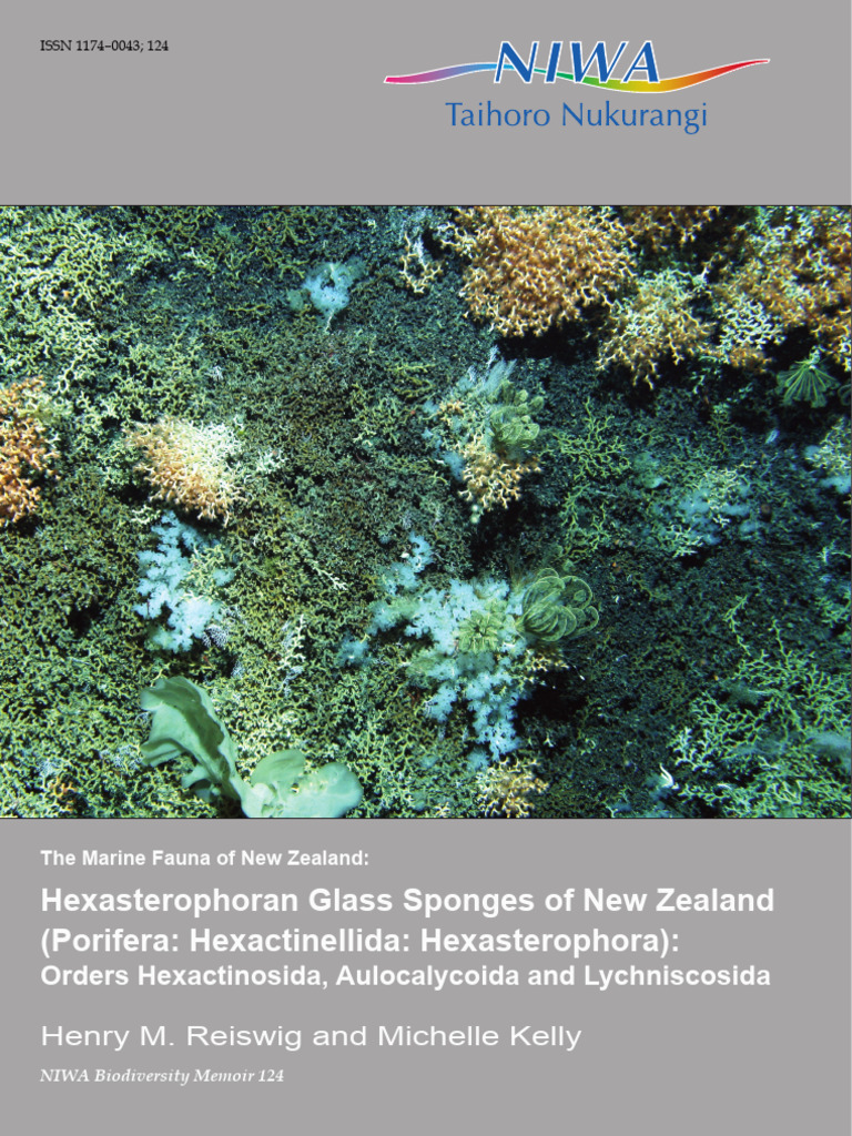Hexasterophoran Glass Sponges of New Zealand (Porifera: Hexactinellida ...