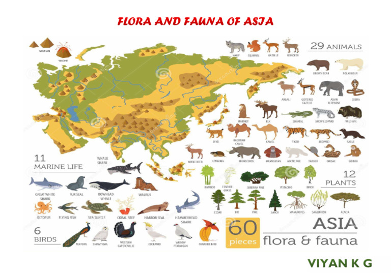 Asia Continent | PDF