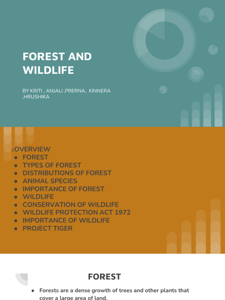 Forest and Wildlife | PDF | Forests | Conservation Biology