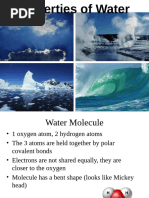 Water: The Universal Solvent Explained | PDF | Water | Properties Of Water