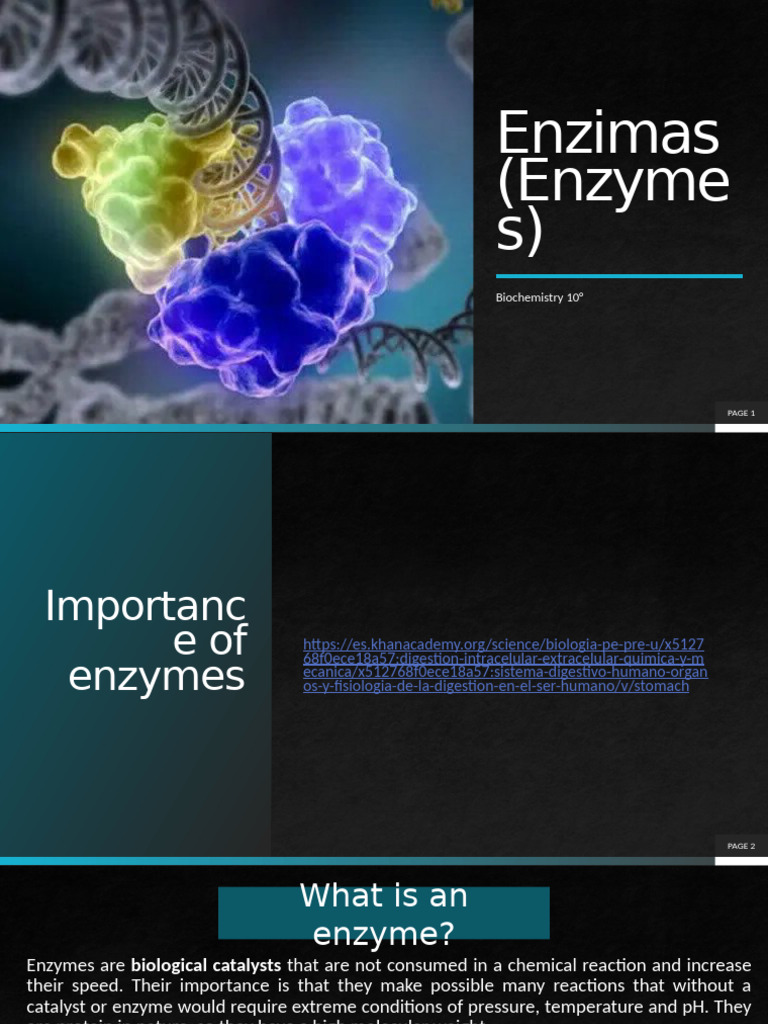 ENZYMES | PDF | Enzyme | Cofactor (Biochemistry)