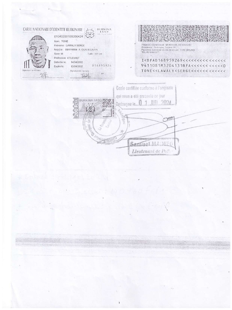 CNIB Tone Lawaly Serge - Compressed | PDF