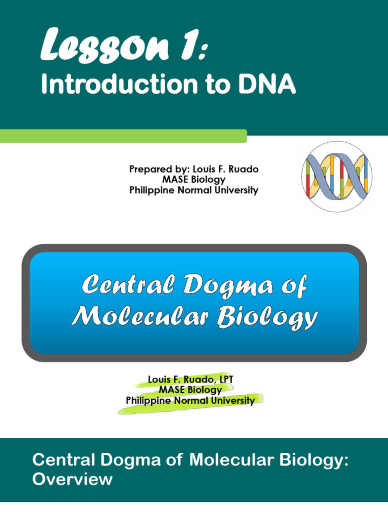 1D-Lesson 1-Introduction To DNA | PDF | Dna | Rna