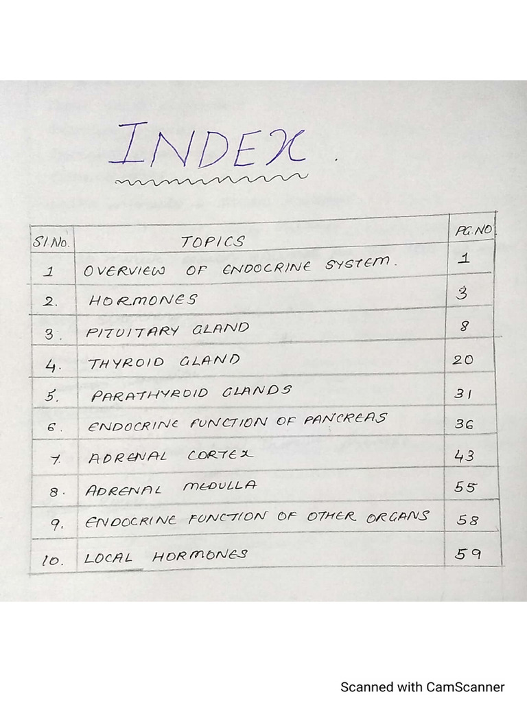 Endocrine System Handwritten (1) | PDF | You Tube