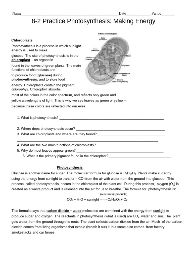 8-2 Practice Intro To Photosynthesis | PDF | Photosynthesis | Carbon ...