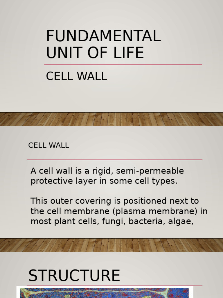 Cell Wall | PDF