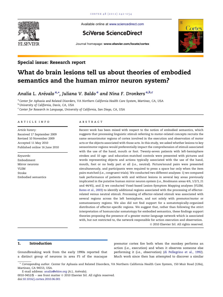 What Do Brain Lesions Tell Us About Theories of Embodied Semantics ...