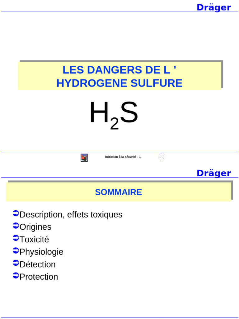 Form. Risques GAZ H2S | PDF | Substances chimiques | Chimie