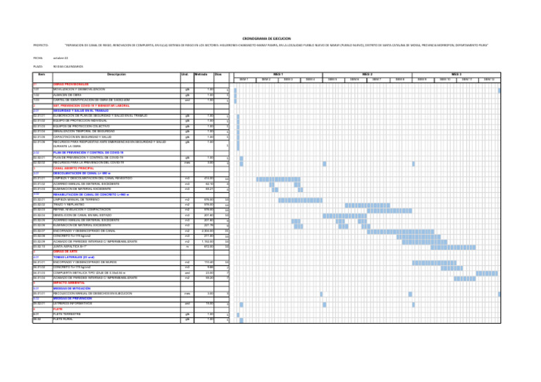 Cron Ejec - Higuerones | PDF