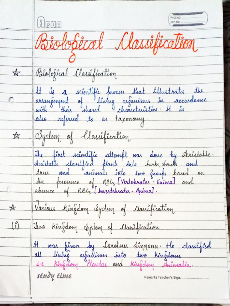 Class 11 Project 1 | PDF