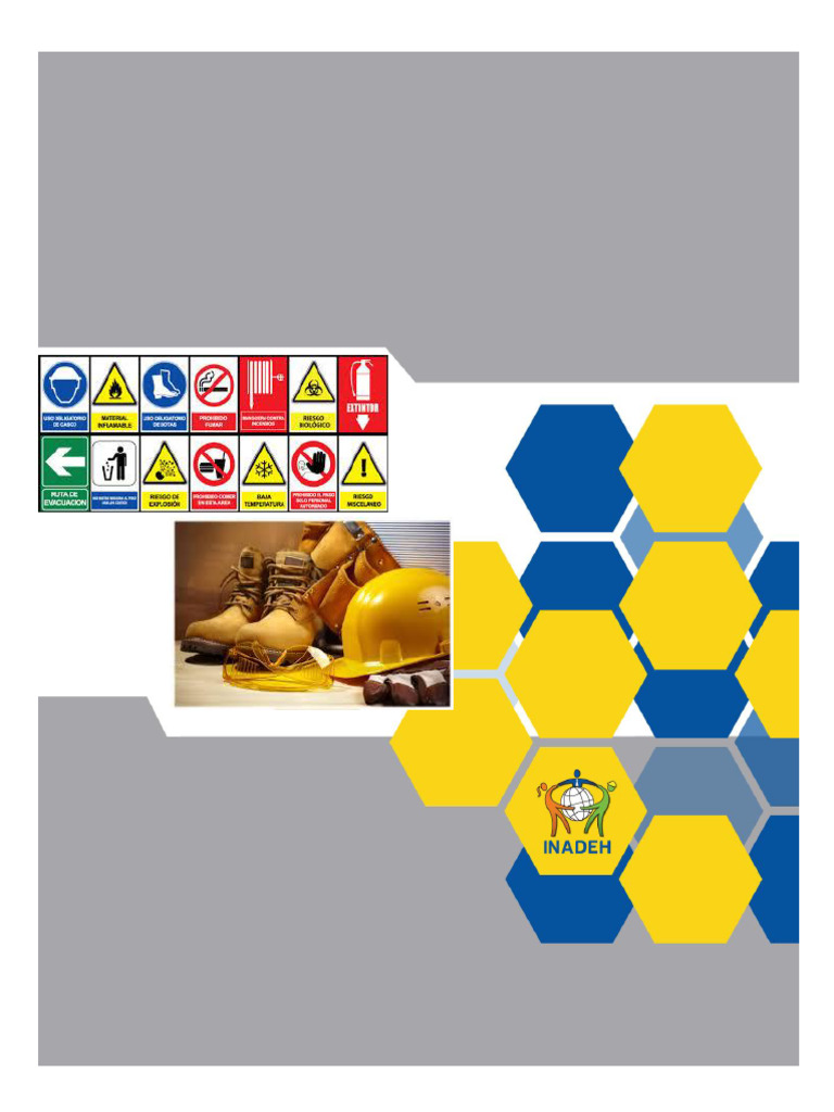 Manual de Seguridad Industrial y Riesgos Profesionales Nivel Básico Módulo I | PDF | Valores ...