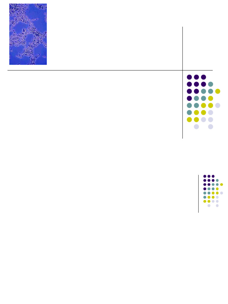 Lec4-1 | PDF | Lymphocyte | Lymphatic System