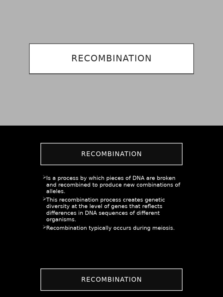 Genetic Recombination Basics | PDF