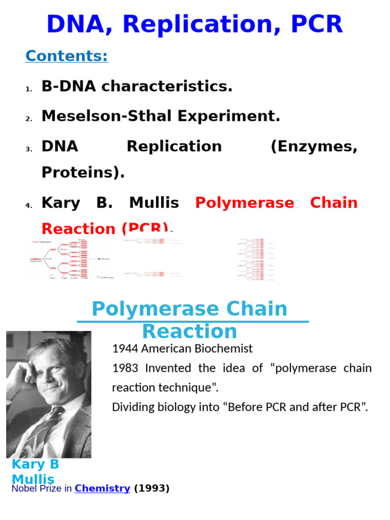 Central Dogma, Transcription and Translation 3 | PDF | Genetic Code ...