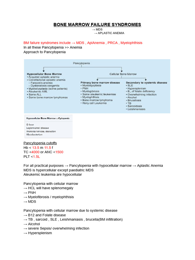 Bone Marrow Failure Syndromes Approach To Pancytopenia MDS Aplastic ...