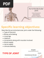 Shoulder Anatomy Interactive Worksheet | PDF