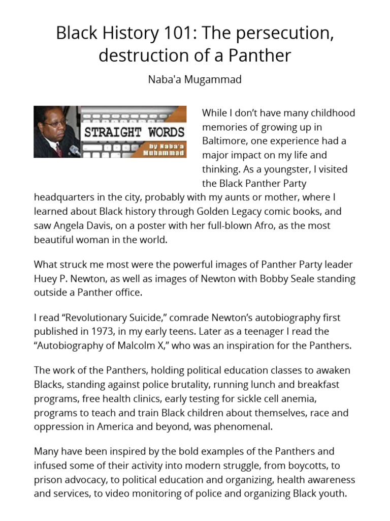 Black History 101 - The Persecution, Destruction of A Panther Final ...