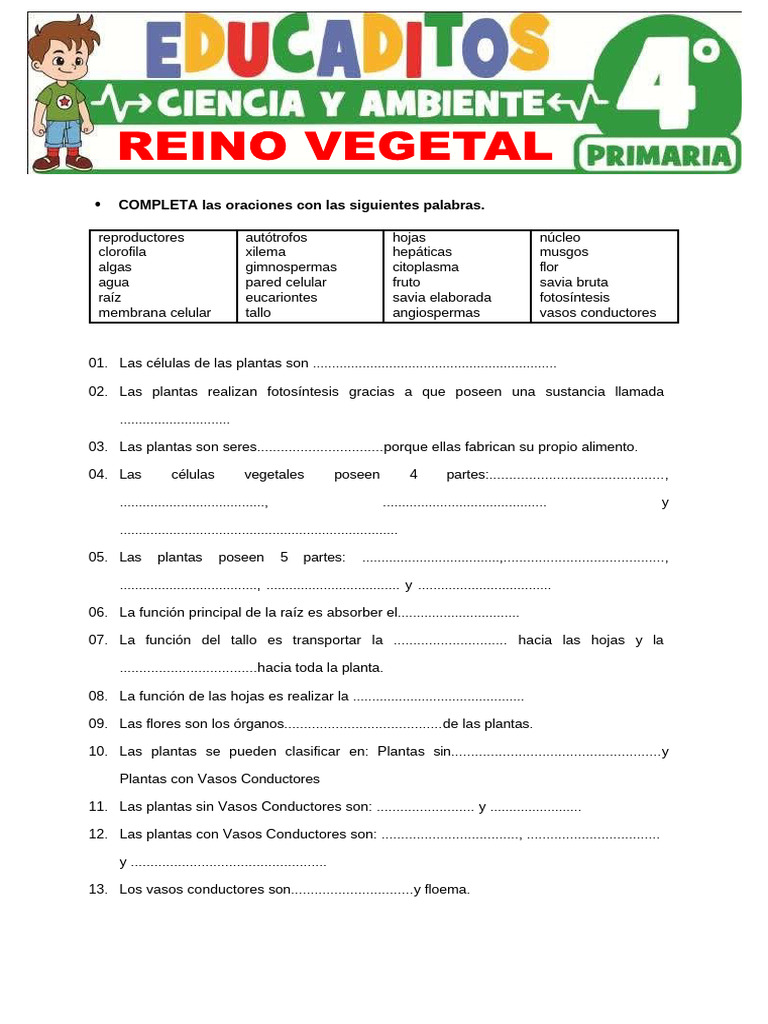 Actividades Didácticas del Reino Vegetal | PDF | Plantas | Tallo de la ...