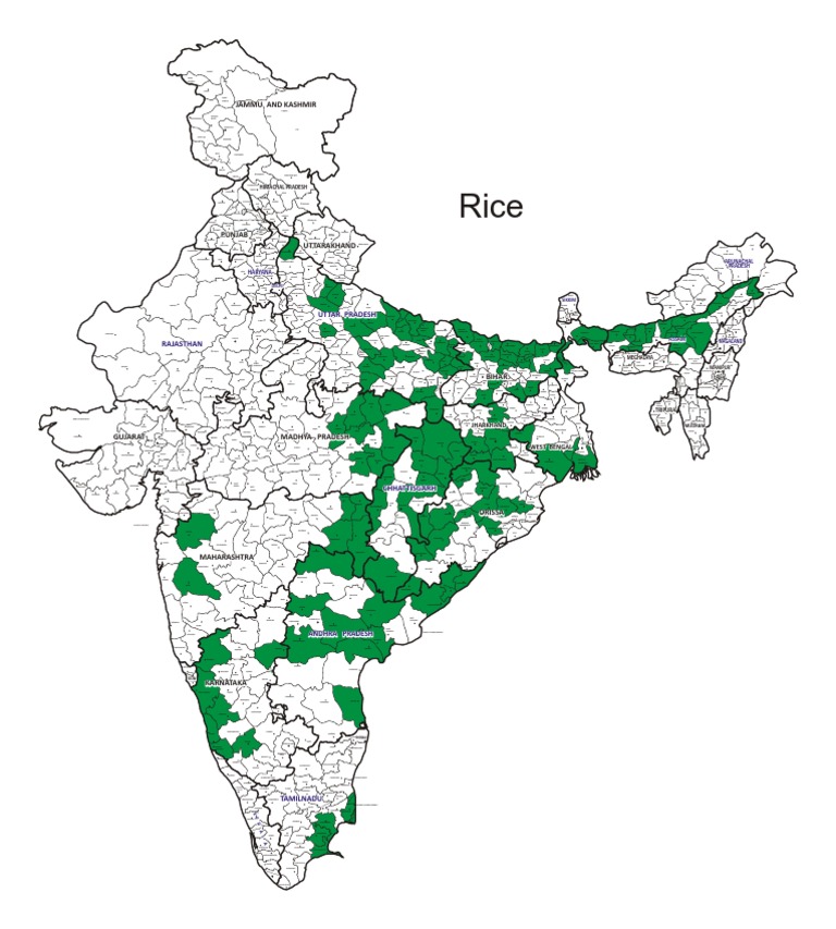 Rice Distribution in India: A Map | PDF