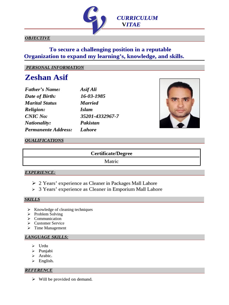 All Rounder Cv | PDF