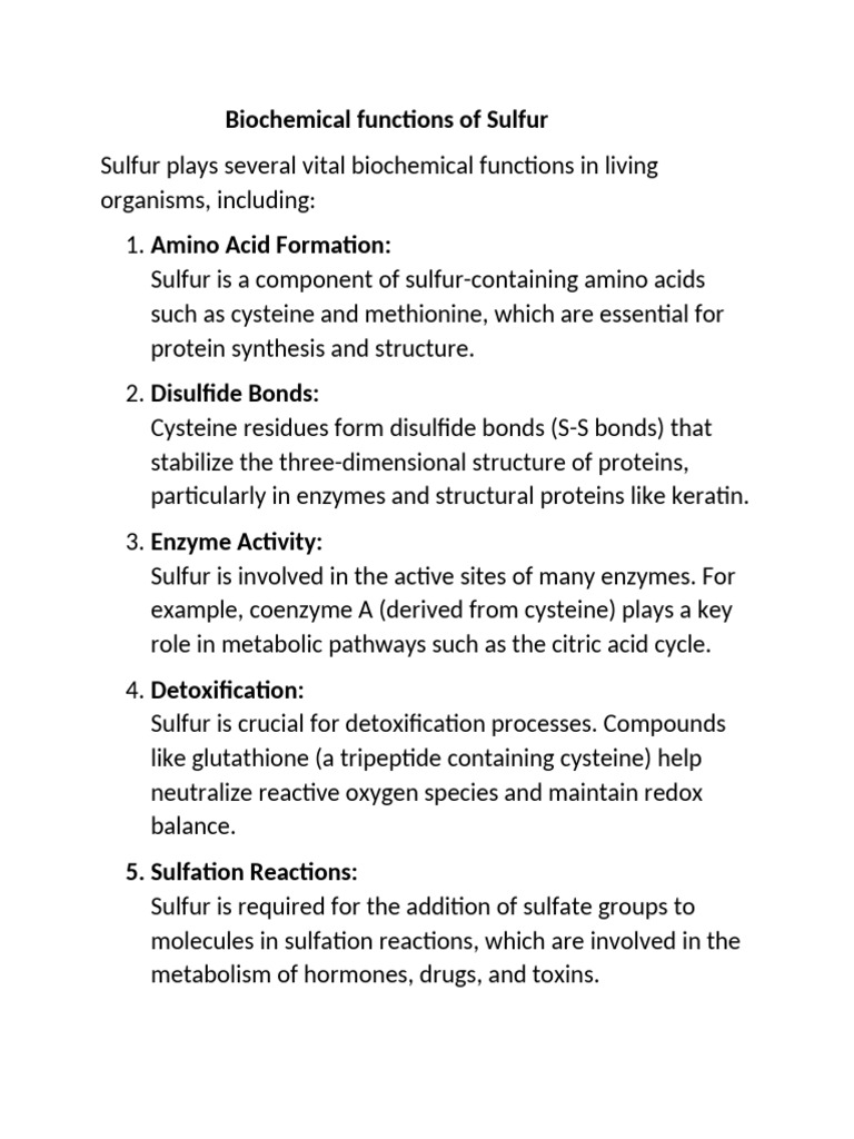 Biochemical Roles of Sulfur in Organisms | PDF