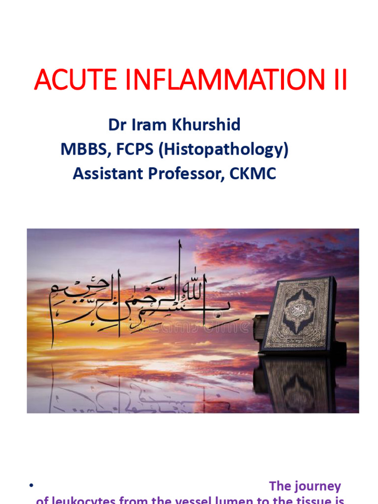 ACUTE INFLAMMATION II | PDF | Inflammation | Phagocyte