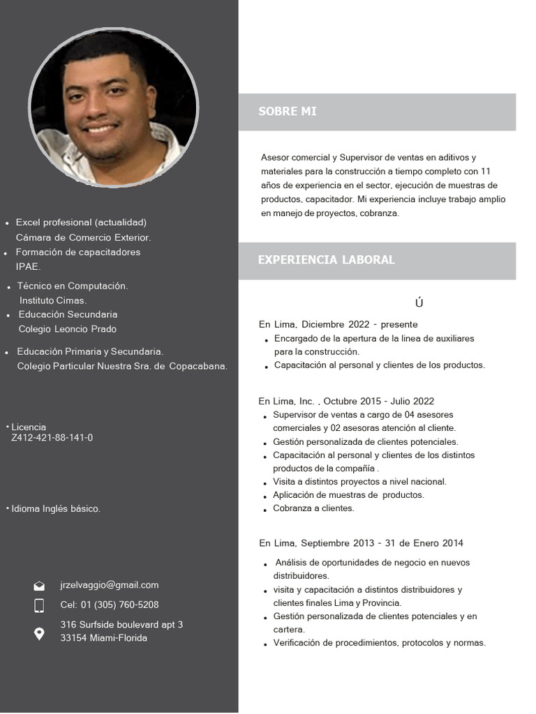 Curriculum Junior Zelvaggio | PDF | Lima