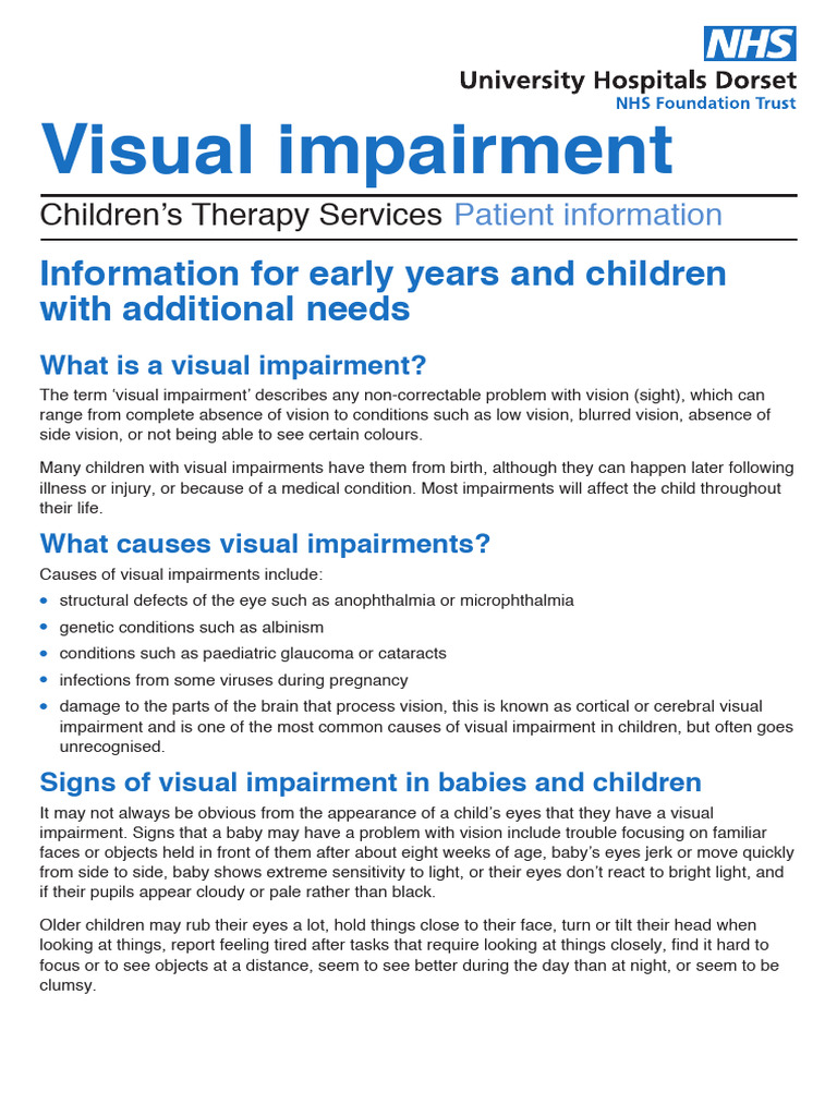 153 23 - Visual Impairment | PDF | Visual Impairment | Toys