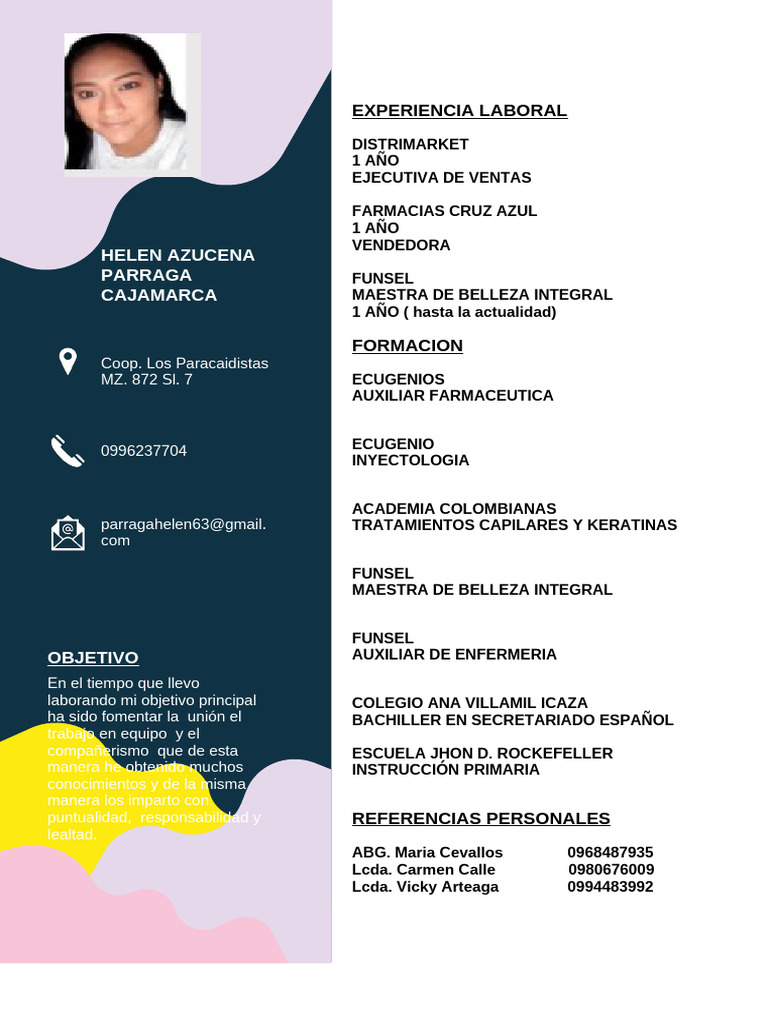 Experiencia Laboral | PDF